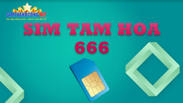 Giá sim tam hoa 666 vì sao rẻ hơn 999?